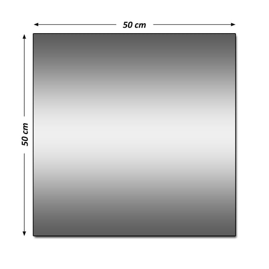 Plakat 50x50 Zamek Neuschwanstein - ZeSmakiem | Sklep EMPIK.COM