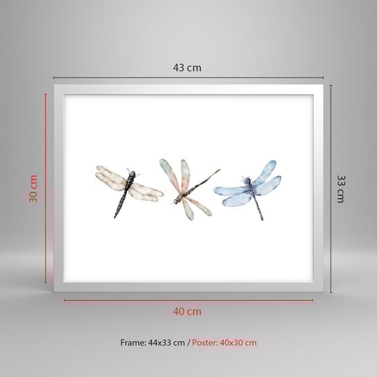 Obraz - Plakat - Ważki nieważkie - 40x30cm - Owady Minimalistyczny ...