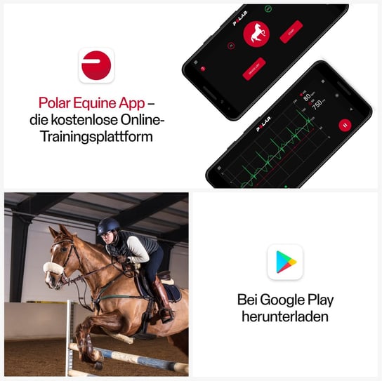 Polar Equine Pulse Sensor For Horse Riding: Track Your Horse's Heart ...