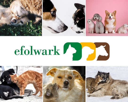 NutraPlaque na zęby dla psów i kotów, 60 tab. - NutraVet | Sklep EMPIK.COM