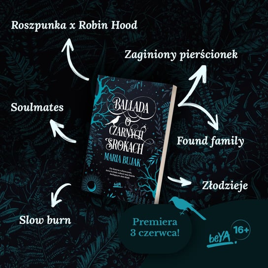 Ballada o Czarnych Srokach - Maria Bujak | Książka w Empik