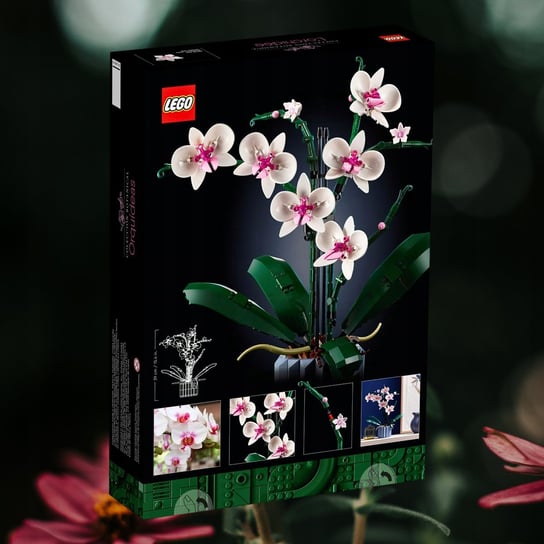 LEGO ICONS 18+ ORCHIDEA / STORCZYK 10311 - LEGO | Sklep EMPIK.COM