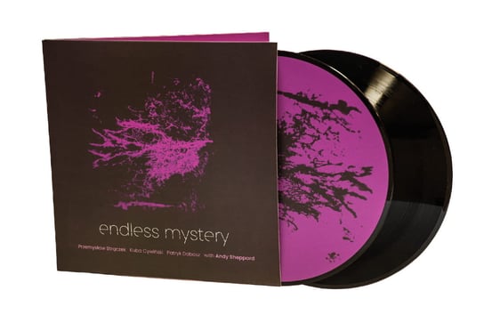 Endless Mystery (płyta winylowa), płyta winylowa - Strączek Przemysław ...