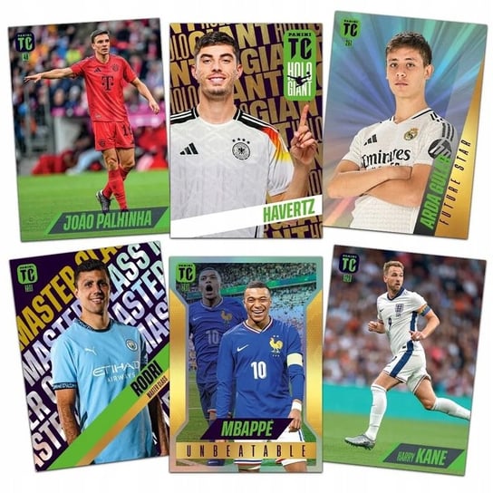 Erling HAALAND - HOLO GIANT PANINI TOP CLASS 2025 Limited Giants ...