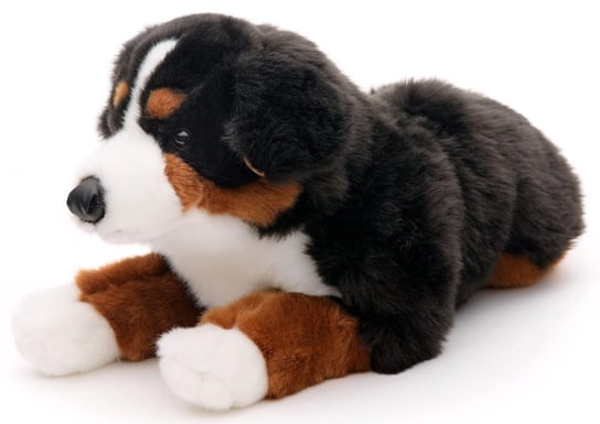 Uni-Toys - Leżący pies zmysłowy - 42 cm (długość) - pies, zwierzę ...