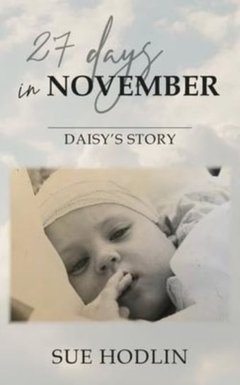 27 Days in November: Daisys Story - Sue Hodlin | Książka w Empik