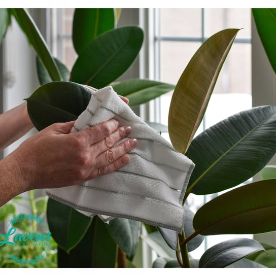 Olejek Neem Nierafinowany Olej Naturalny Tłoczony na Zimno 5L | Sklep EMPIK.COM