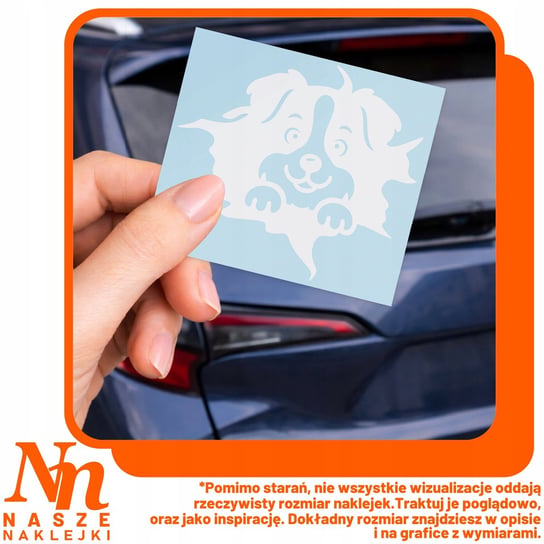 Naklejka na samochód pies Border Collie, głowa i łapki, Dziura auto ...