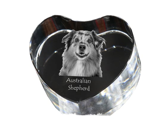 Owczarek australijski, Aussie - zdjęcie psa w krysztale, kryształowe ...