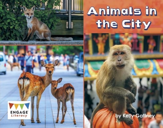 Animals in the City - Kelly Gaffney | Książka w Empik
