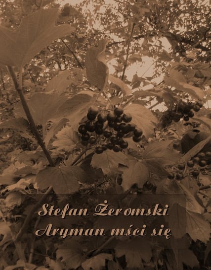 Aryman mści się - ebook epub - Żeromski Stefan | Ebook Sklep EMPIK.COM