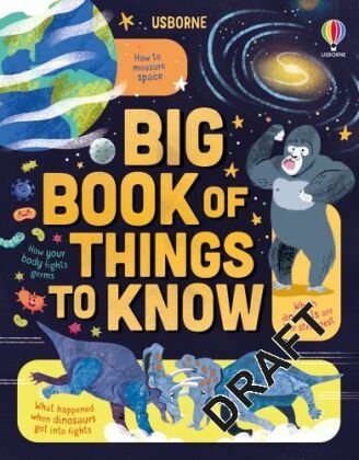 Big Book of Things to Know - Usborne Publishing | Książka w Empik