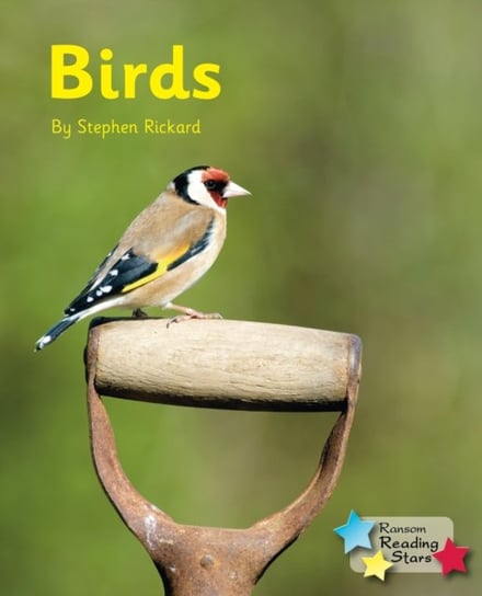 Birds - Stephen Rickard | Książka w Empik