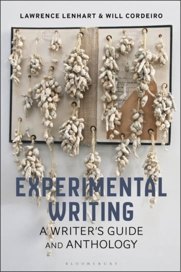 Bloomsbury Writer's Guides and Anthologies, Experimental Writing - Dr ...