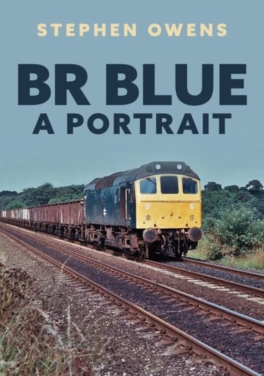 BR Blue: A Portrait - Stephen Owens | Książka w Empik