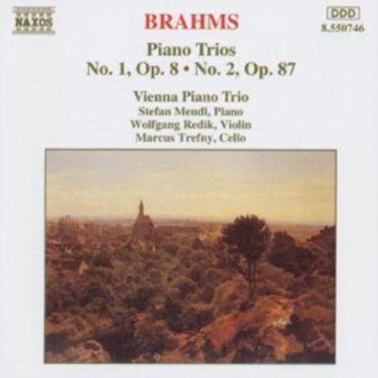 Brahms: Piano Trios 1 & 2 - Various Artists | Muzyka Sklep EMPIK.COM