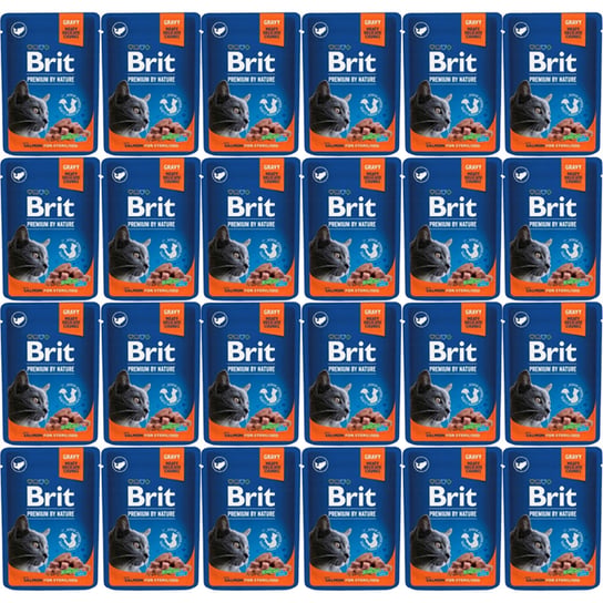 Brit Cat Pouches Salmon FOR Sterilized 24x100g - Brit | Sklep EMPIK.COM