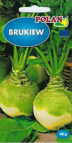 Brukiew jadalna 10 g POLAN - PlantiCo | Sklep EMPIK.COM