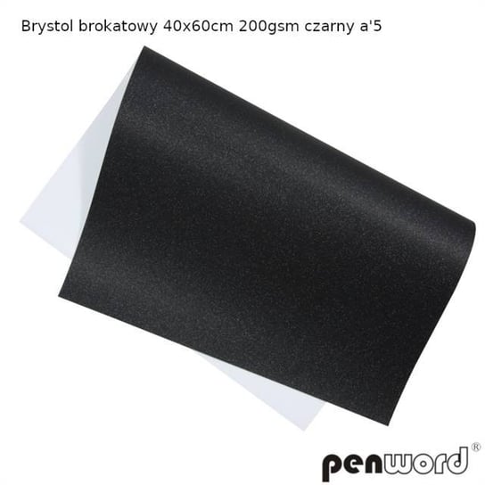 Brystol Brokatowy 40X60Cm 200Gsm Czarny 5 Szt Penword - PENWORD | Sklep ...