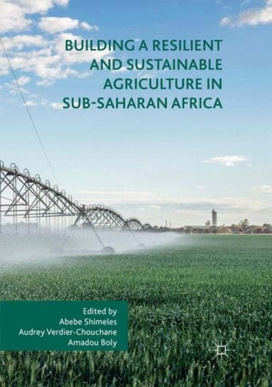 Building a Resilient and Sustainable Agriculture in Sub-Saharan Africa ...