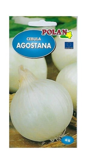Cebula Agostana 4 g POLAN - Inna marka | Sklep EMPIK.COM