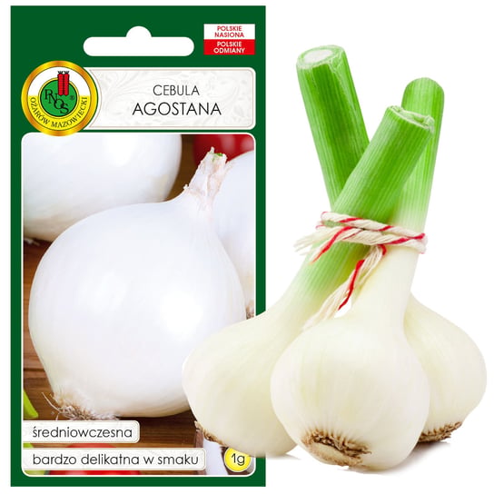 Cebula Agostana Delikatna Wczesna Nasiona Bez Gmo - PNOS | Sklep EMPIK.COM