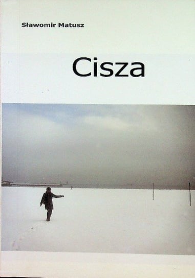 Cisza - W opisie | Książka w Empik
