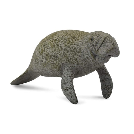 CollectA – col88455 – kura okrągła – rozmiar L - Collecta | Sklep EMPIK.COM