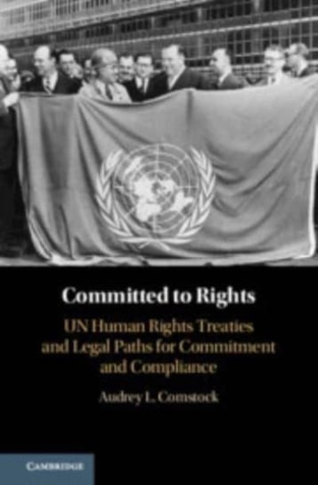Committed to Rights: Volume 1: UN Human Rights Treaties and Legal Paths ...