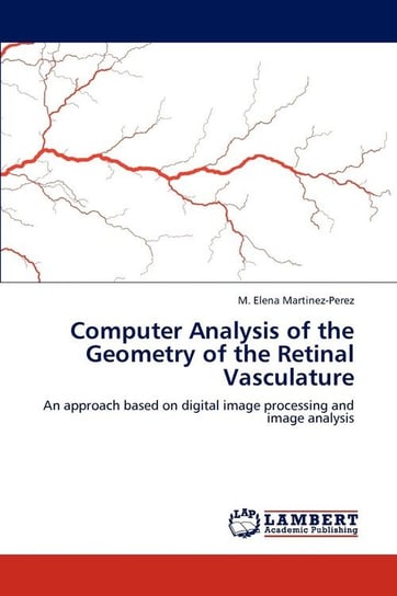 Computer Analysis of the Geometry of the Retinal Vasculature - Martinez ...