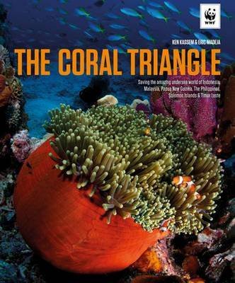 Coral Triangle - Kassem Ken | Książka w Empik