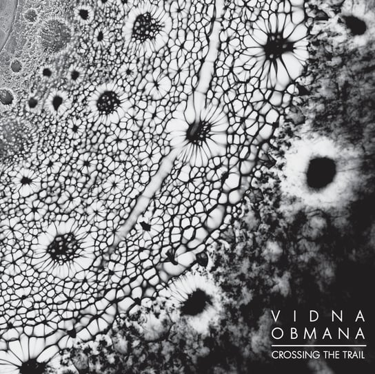 Crossing The Trail - Vidna Obmana | Muzyka Sklep EMPIK.COM