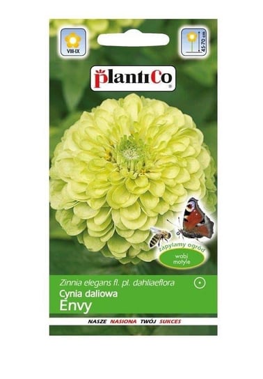 Cynia daliowa Envy 1 g Plantico - PlantiCo | Sklep EMPIK.COM