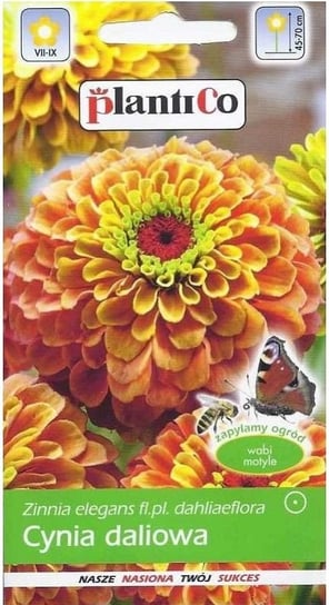 Cynia daliowa Lima Orange 0,4 g Plantico - Inna marka | Sklep EMPIK.COM
