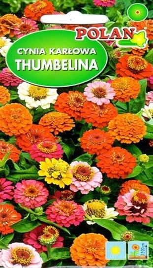 Cynia Karłowa Thumeelina Miesza 1 g POLAN - PlantiCo | Sklep EMPIK.COM