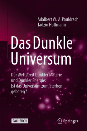 Das Dunkle Universum - Springer, Berlin | Książka w Empik