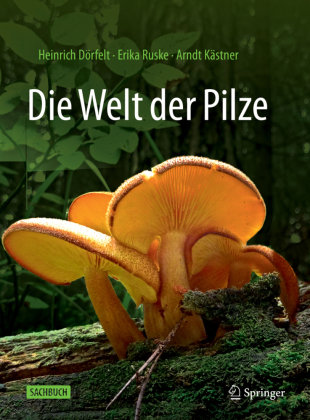 Die Welt der Pilze - Springer, Berlin | Książka w Empik