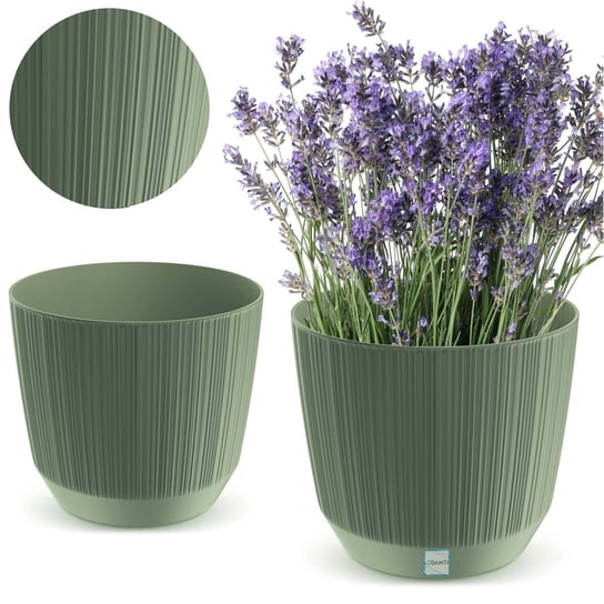 Doniczka Osłonka Domowa 16,8 Cm Ryfo Na Stół Parapet Do Domu Zielona ...