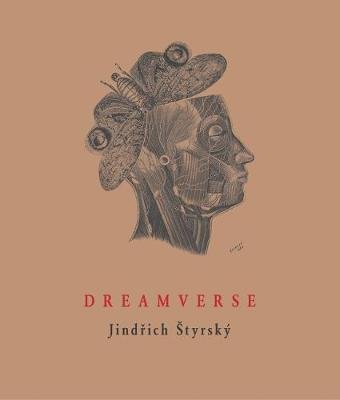 Dreamverse - Styrsky Jindrich | Książka w Empik