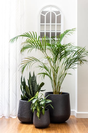 Duża donica czarna okrągła Sigma - Garden&You | Sklep EMPIK.COM