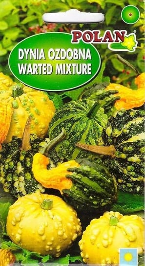 Dynia Ozdobna Warted Mieszana 5 g POLAN - PlantiCo | Sklep EMPIK.COM