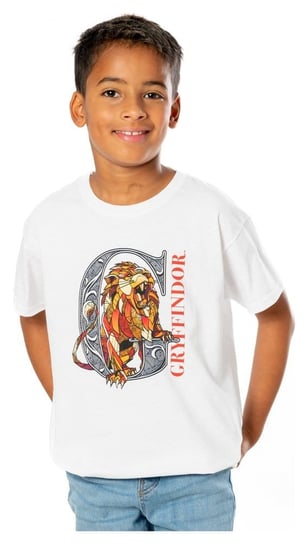 Dziecięcy T-shirt Harry Potter Gryffindor Mosaic - CID | Sklep EMPIK.COM