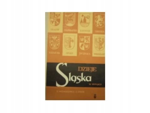 Dzieje Śląska - Michalkiewicz Stanisław | Książka w Empik