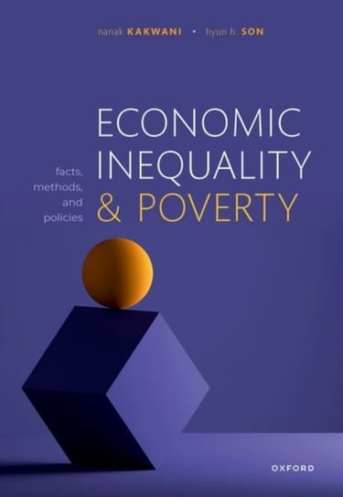 Economic Inequality and Poverty: Facts, Methods, and Policies ...