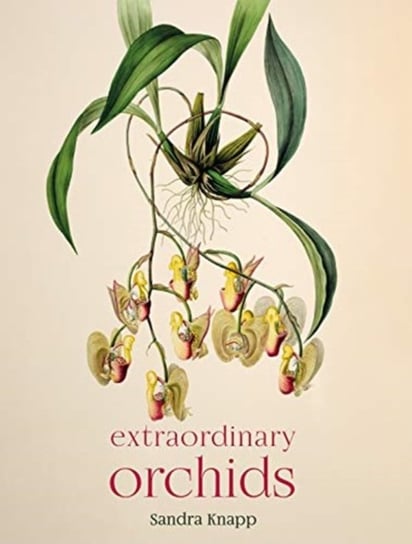 Extraordinary Orchids - Sandra Knapp | Książka w Empik