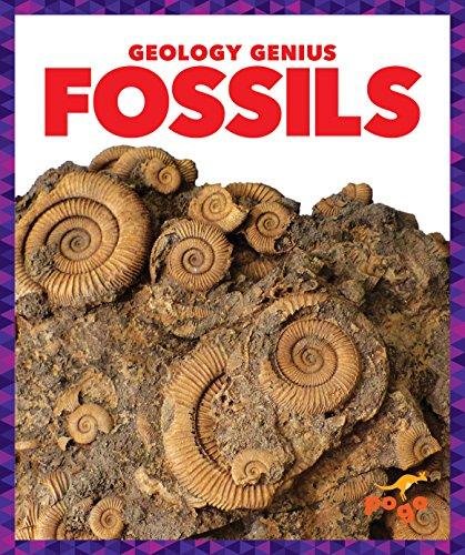 Fossils - Rebecca Pettiford | Książka w Empik