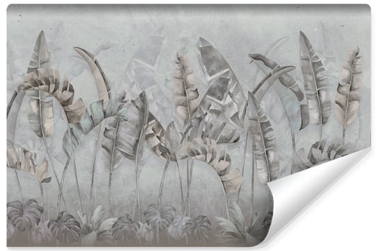 Fototapeta Do Salonu Tropikalne Liście Bananowca Beton Abstrakcja 450cm X 300cm - Muralo | Sklep ...