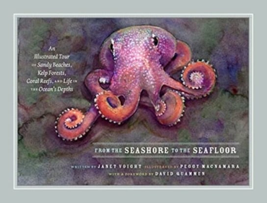 From the Seashore to the Seafloor: An Illustrated Tour of Sandy Beaches ...