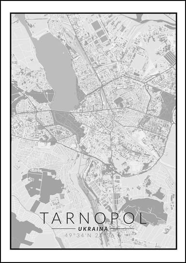 Galeria Plakatu, Plakat, Tarnopol Mapa Czarno Biała, 50x70 cm - Galeria ...