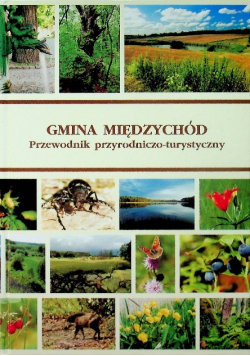 Gmina Międzychód - Opracowanie zbiorowe | Książka w Empik